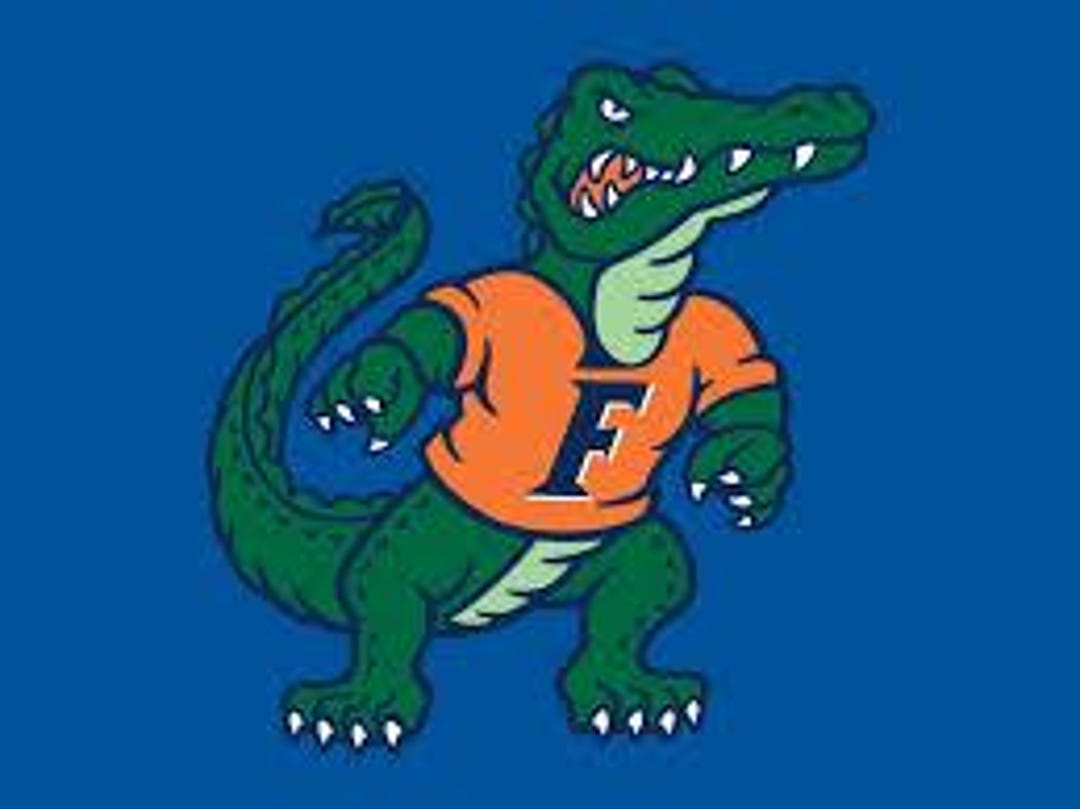 Gator Logo Embroidery Design Digital Download for Machine Embroidery ...