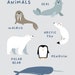Arctic Life Wall Art for Baby's Nursery. Children's Animal Themed ...