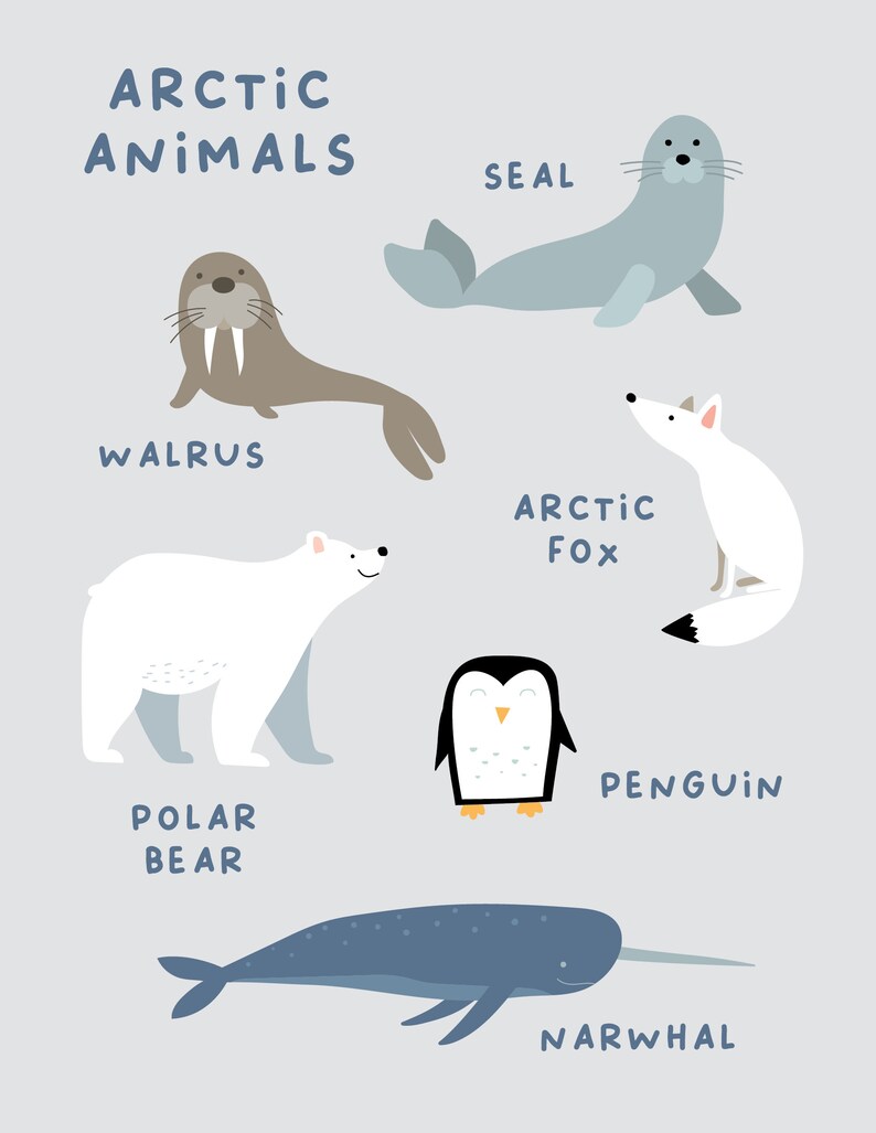 Arctic Life Wall Art for Baby's Nursery. Children's Animal Themed ...