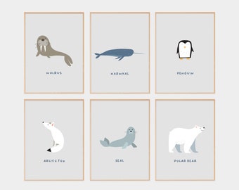 Arctic Life Wall Art for Baby's Nursery. Children's Animal Themed ...