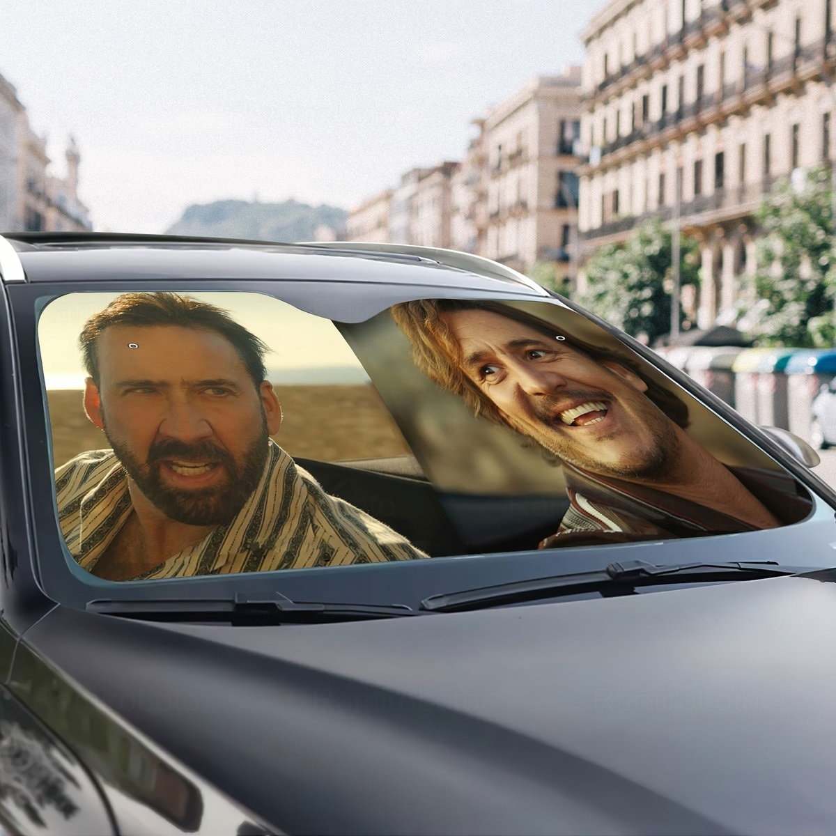 Pedro Pascal Car Sun Shade sold by Brian Nolan | SKU 42019541 | 30% OFF ...
