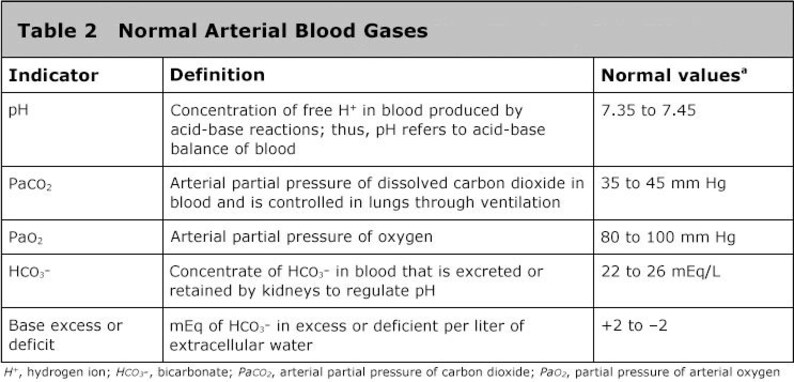 How to Interpret an Arterial Blood Gas Like a Pro! - Etsy