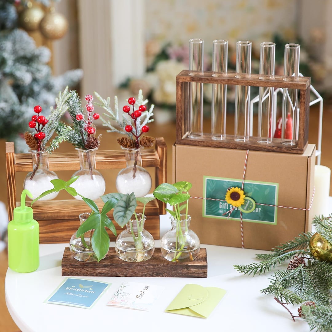Plant Propagation Station Gift Set, Indoor Plant Cutting Holder, Gift ...