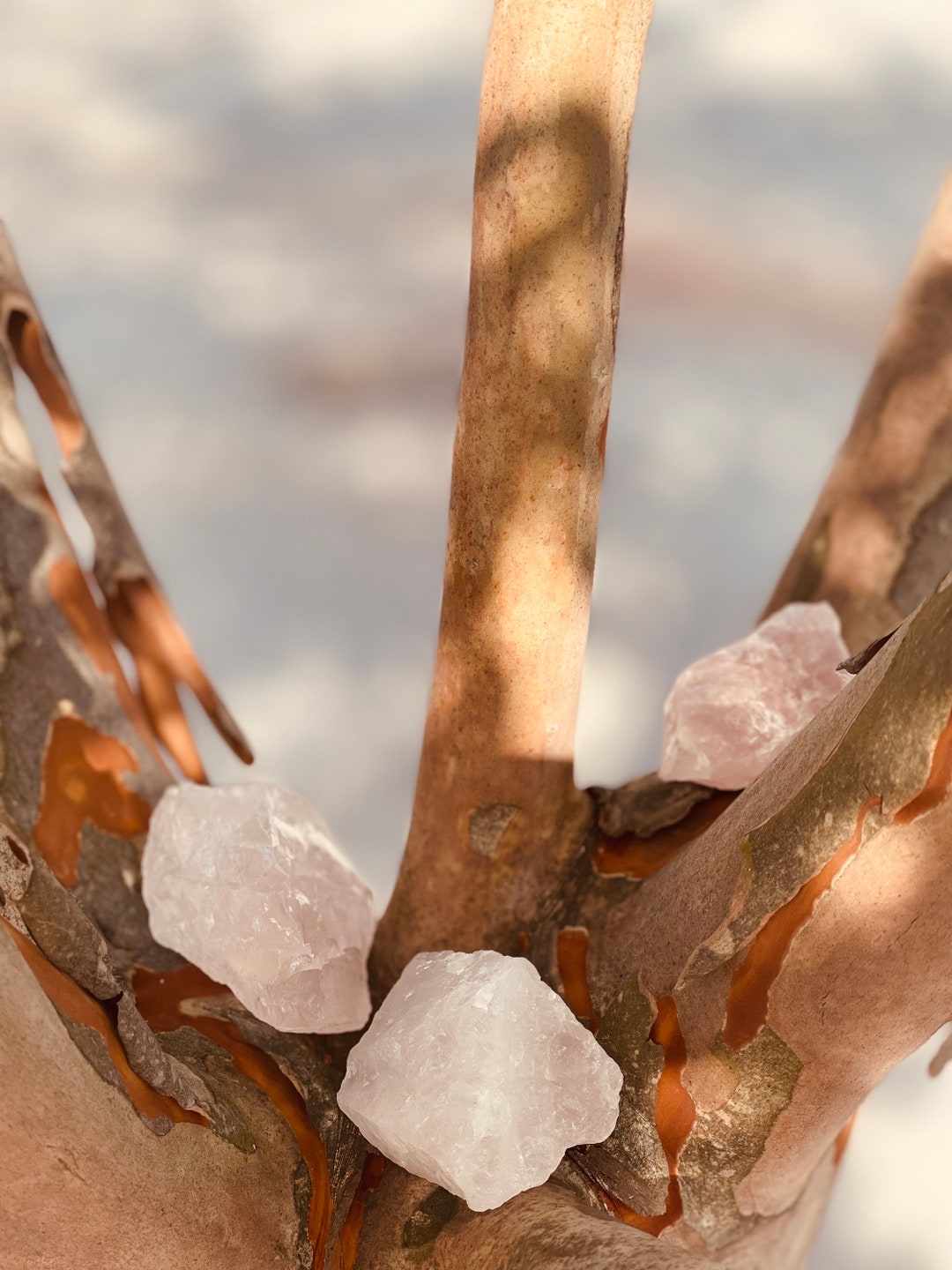 All Natural Premium Quality Raw/rough Rose Quartz Crystals - Etsy