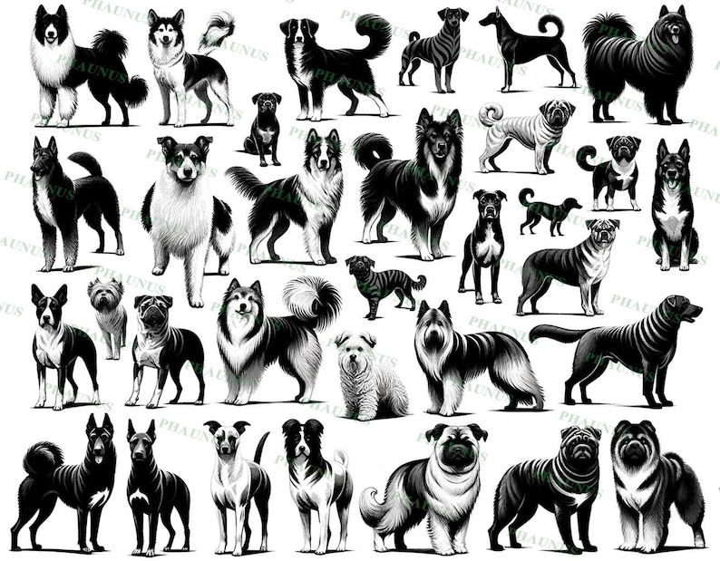 Dog Breed Collection - Svg, Bmp, Jpg, Pdf, Dxf - Etsy