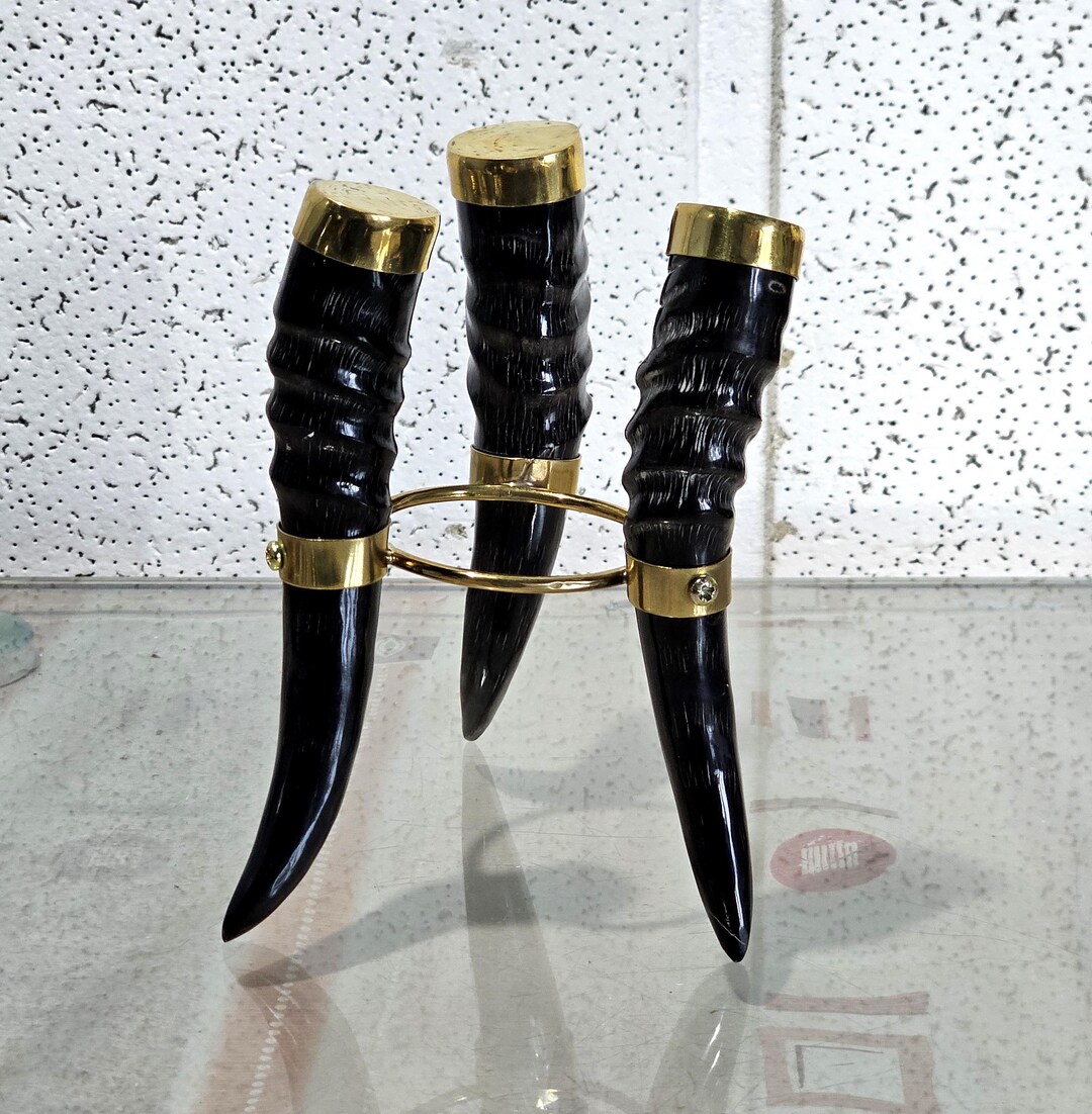 Classic Springbok Horn Stand, Three Shiny Springbok Horns Grouped in ...
