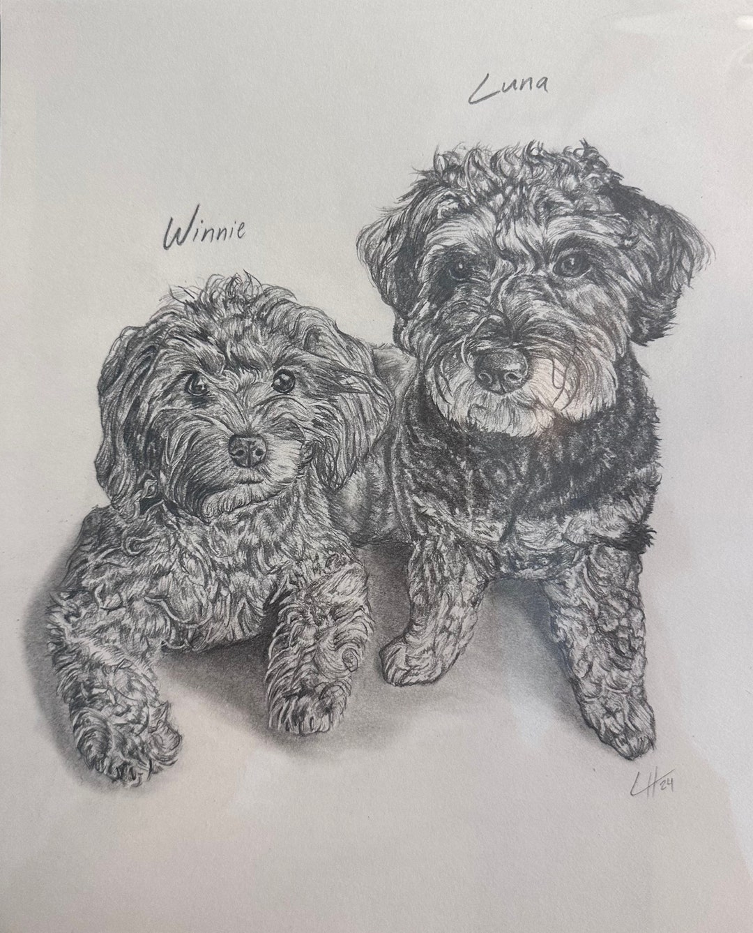 Custom Dog Portrait/ Graphite Pet Portrait - Etsy