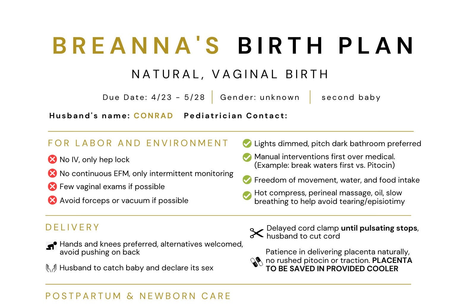 One Page Birth Plan WITH ICONS | Natural Birth | C-section Plan ...