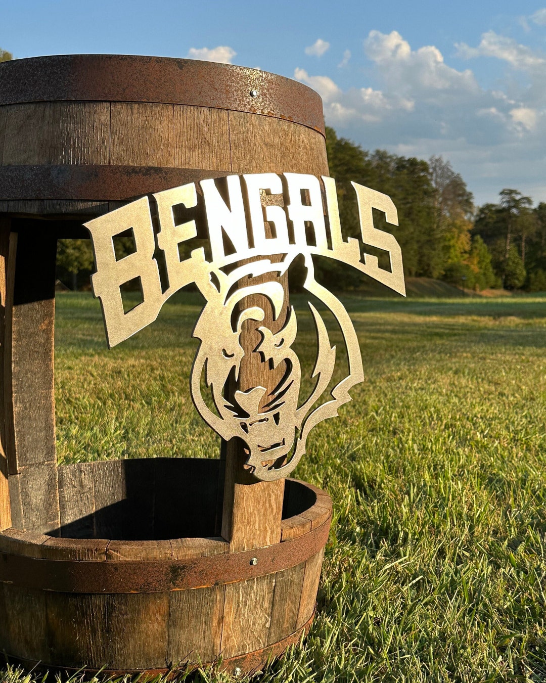Cincinnati Bengals Metal Sign Decor - Etsy