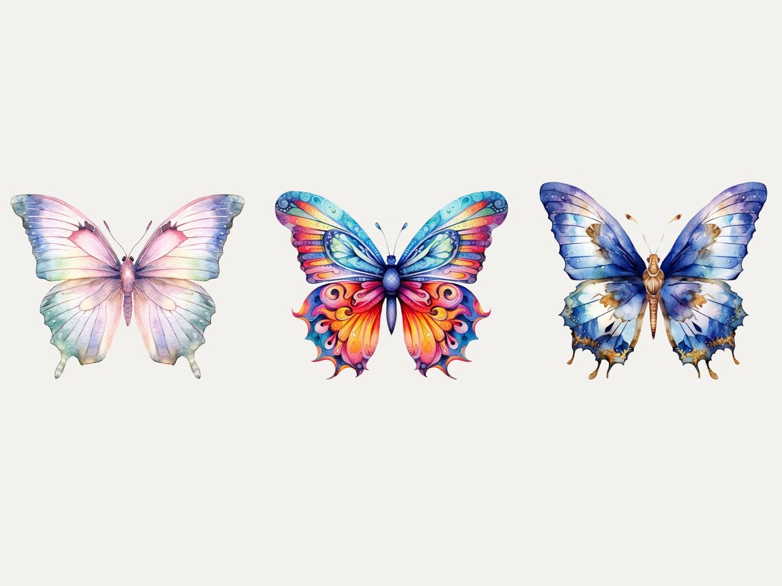Butterfly Watercolor Clipart Bundle Elegant Insect Free - Etsy
