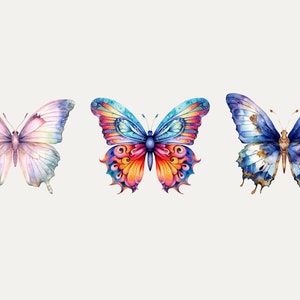 Butterfly Watercolor Clipart Bundle Elegant Insect Free - Etsy