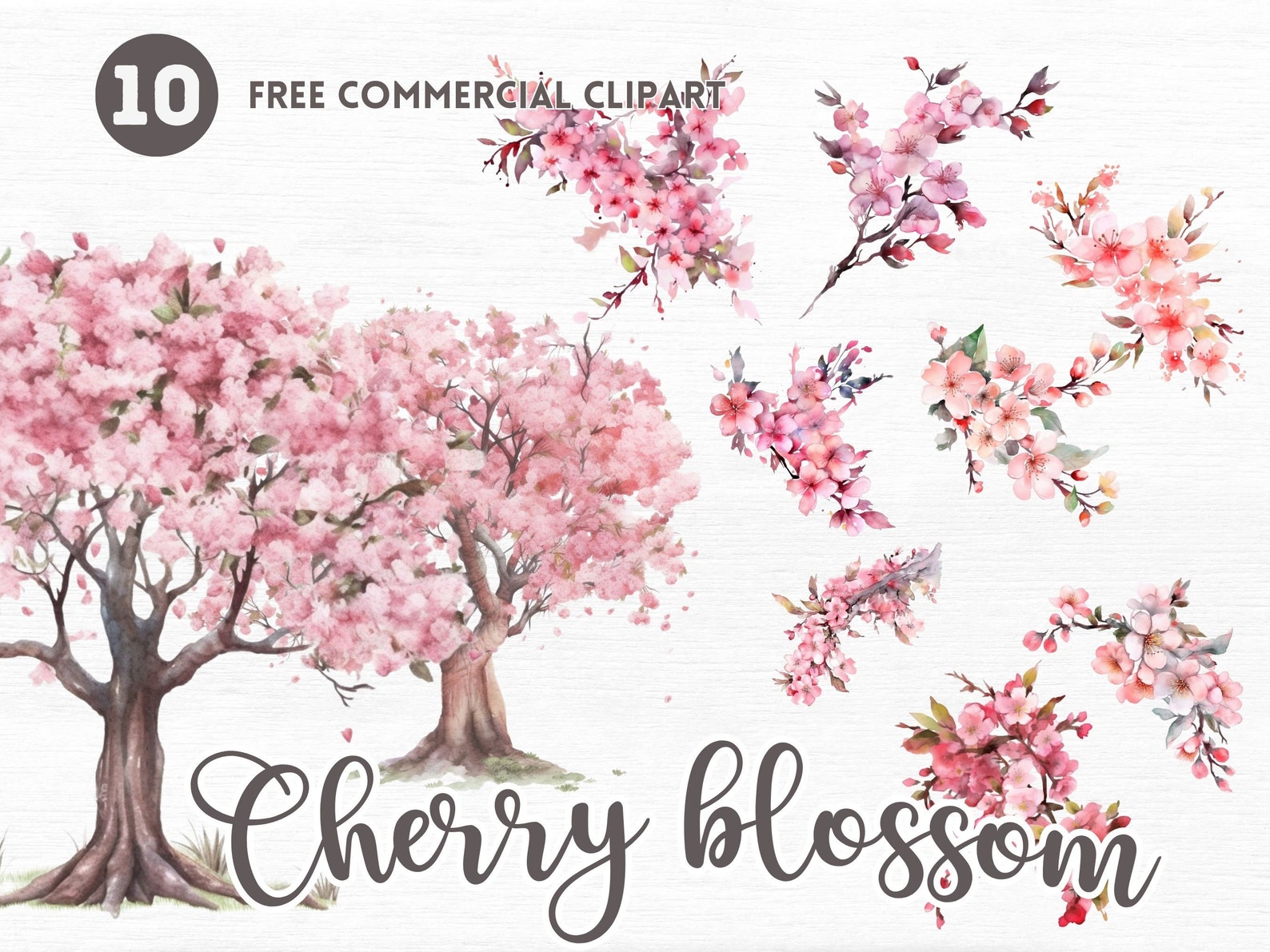 Cherry Blossom Watercolor Clipart Bundle Free Commercial - Etsy