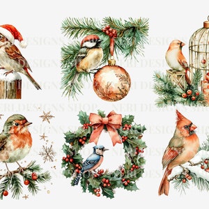 Christmas Bird Watercolor Clipart, Festive Cardinal Free Commercial PNG ...