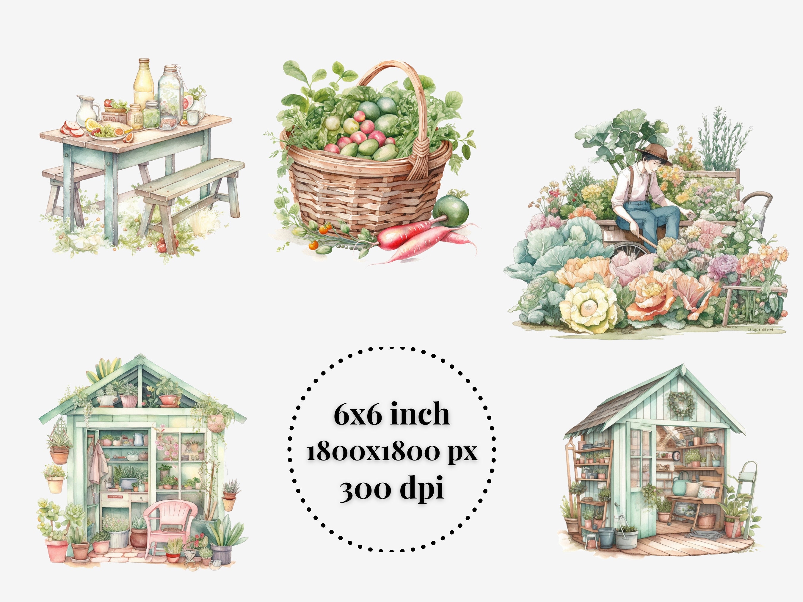 Vegetable Garden Watercolor Clipart Bundle Free Commercial - Etsy