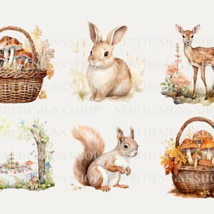 Spring Forest Watercolor Clipart Set Woodland Animal Free Commercial ...