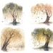 Glowing Willow Tree Watercolor Clipart Bundle Free Commercial Radiant ...