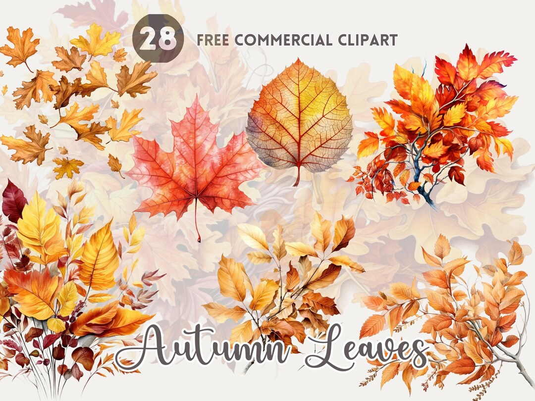 Fall Leaves Watercolor Clipart Bundle, Autumn Foliage Branch Free ...