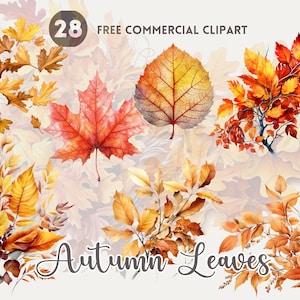 Fall Leaves Watercolor Clipart Bundle, Autumn Foliage Branch Free ...