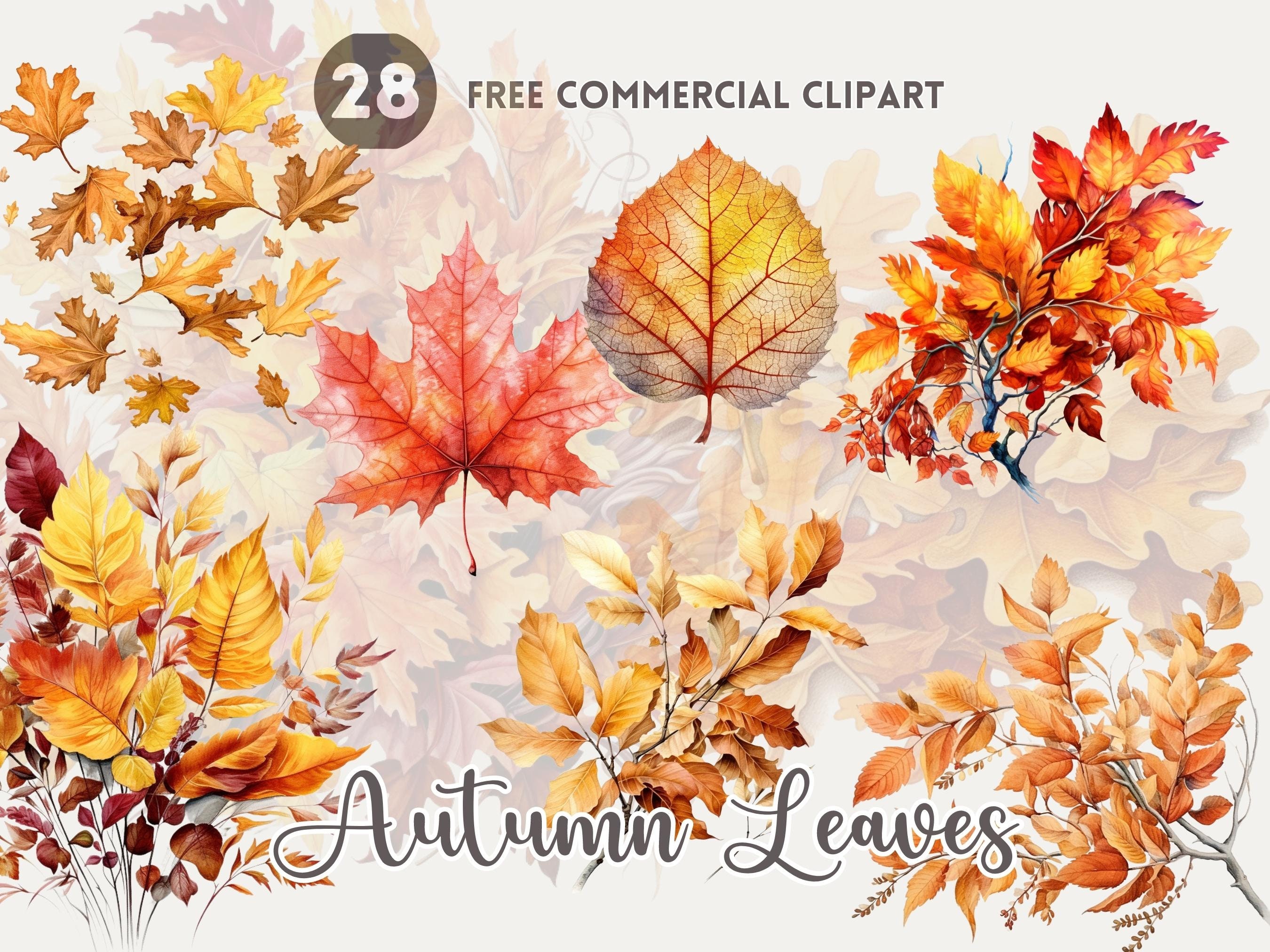 Fall Leaves Watercolor Clipart Bundle Autumn Foliage Branch - Etsy