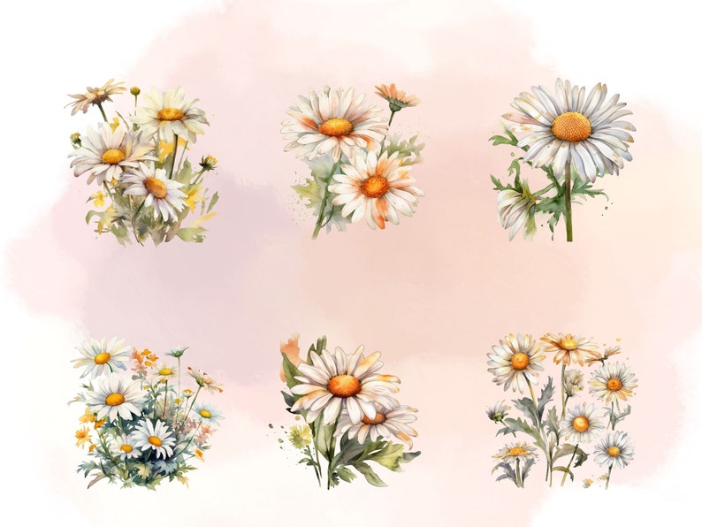 Daisy Watercolor Clipart Bundle Floral Bloom Free Commercial - Etsy
