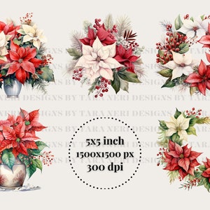 Festive Christmas Poinsettia Watercolor Clipart Bundle, Holiday Season ...