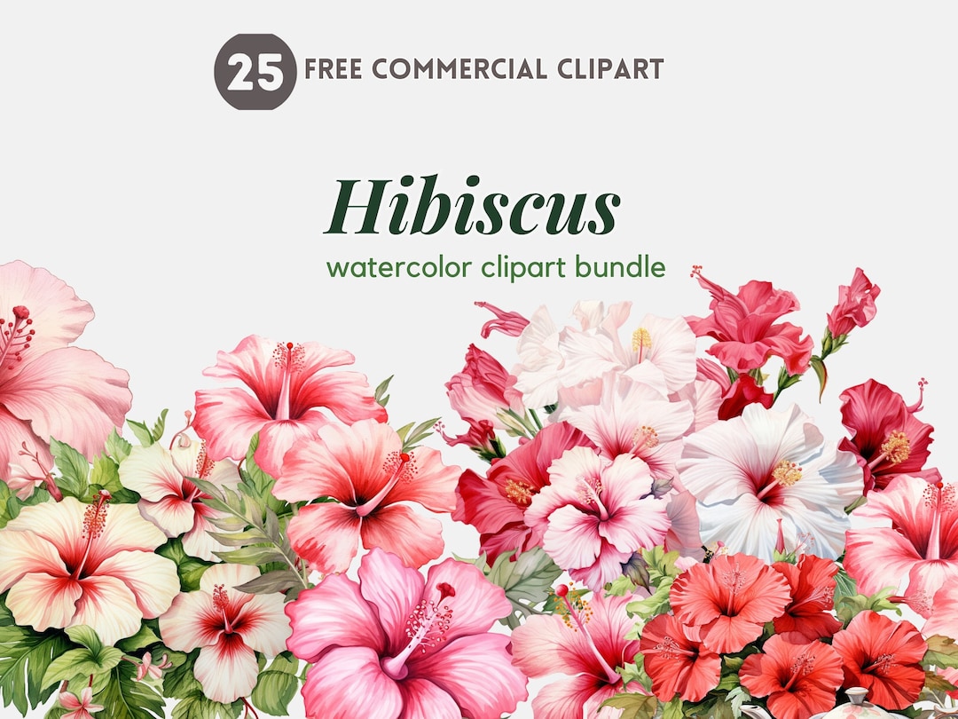 Hibiscus Flower Watercolor Clipart Bundle, Exotic Tropical Bloom Free ...