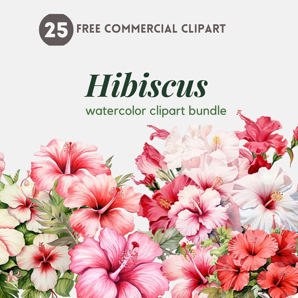 Hibiscus Clipart Bundle - Etsy