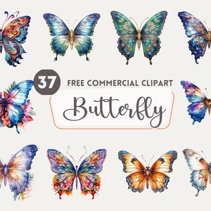 Butterfly Watercolor Clipart Bundle Elegant Insect Free - Etsy