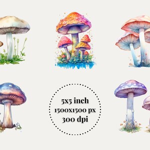 Mushroom Watercolor Clipart Bundle Fungi Free Commercial Set Whimsical ...