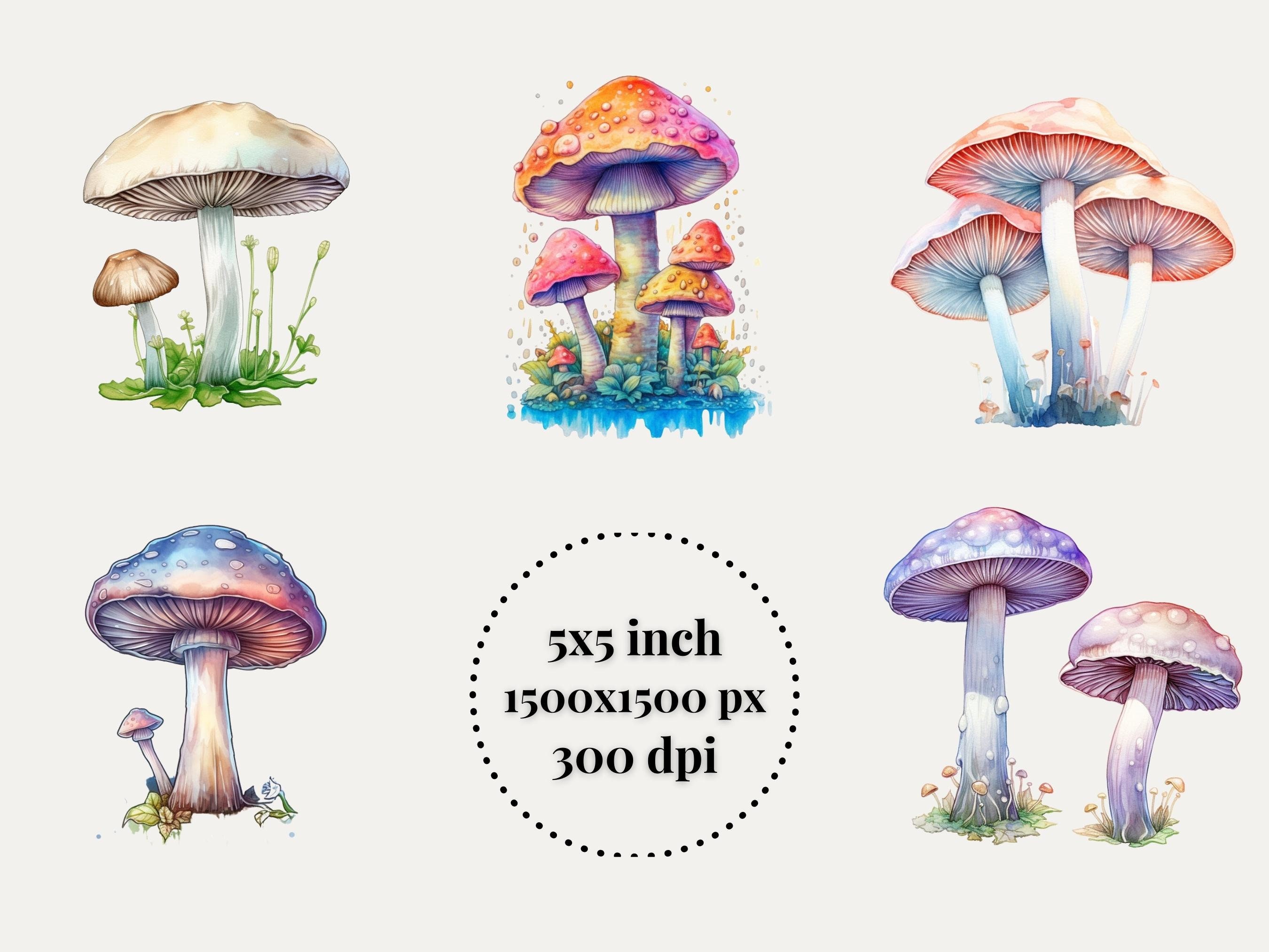 Mushroom Watercolor Clipart Bundle Fungi Free Commercial Set - Etsy