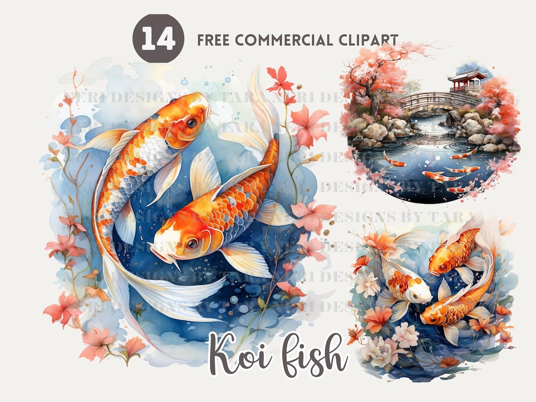 Koi Fish Watercolor Clipart Bundle Asian Koi Pond Free - Etsy