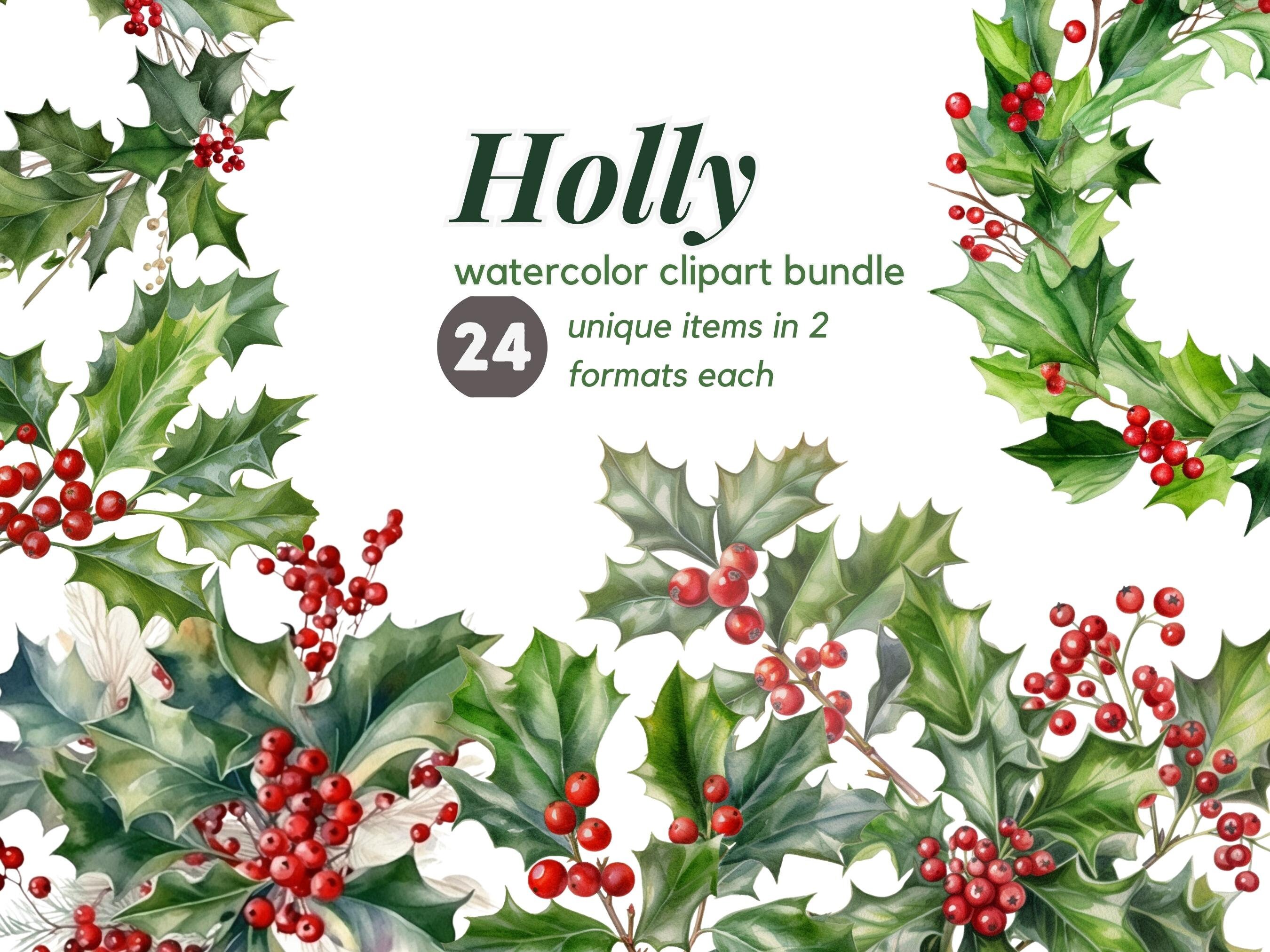 Holly Plant Watercolor Clipart Bundle Holly Berry Free - Etsy