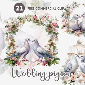 Wedding Pigeon Watercolor Clipart Bundle Free Commercial Floral Pigeon ...