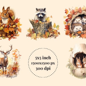 Autumn Animal Watercolor Clipart Bundle, Free Commercial Fall Creature ...