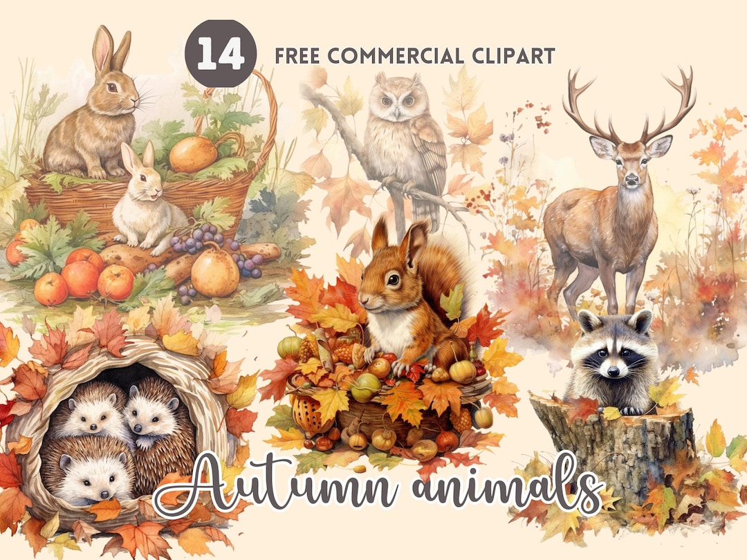 Autumn Animal Watercolor Clipart Bundle, Free Commercial Fall Creature ...