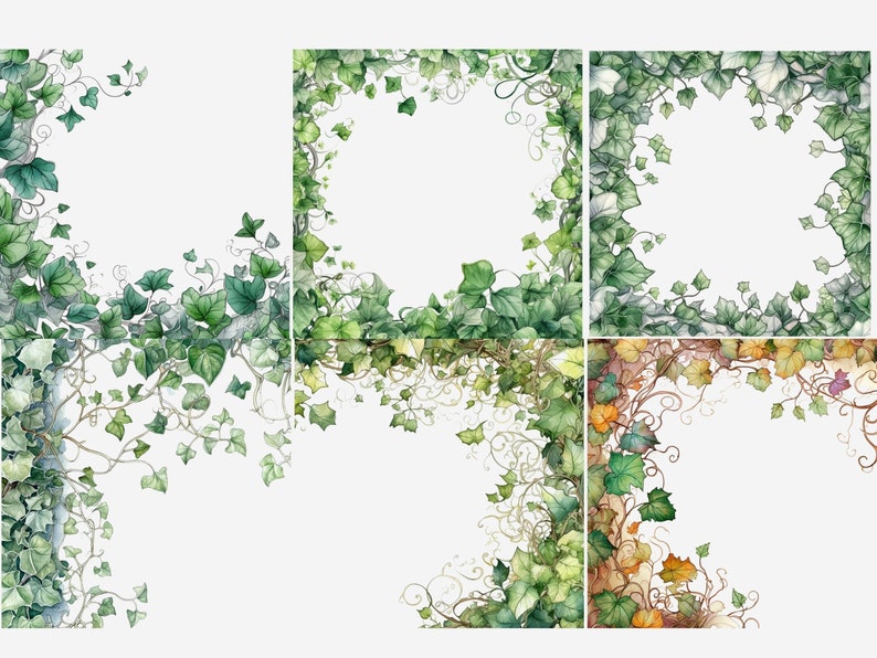 Ivy Watercolor Clipart Bundle Vine Free Commercial Clipart Set - Etsy