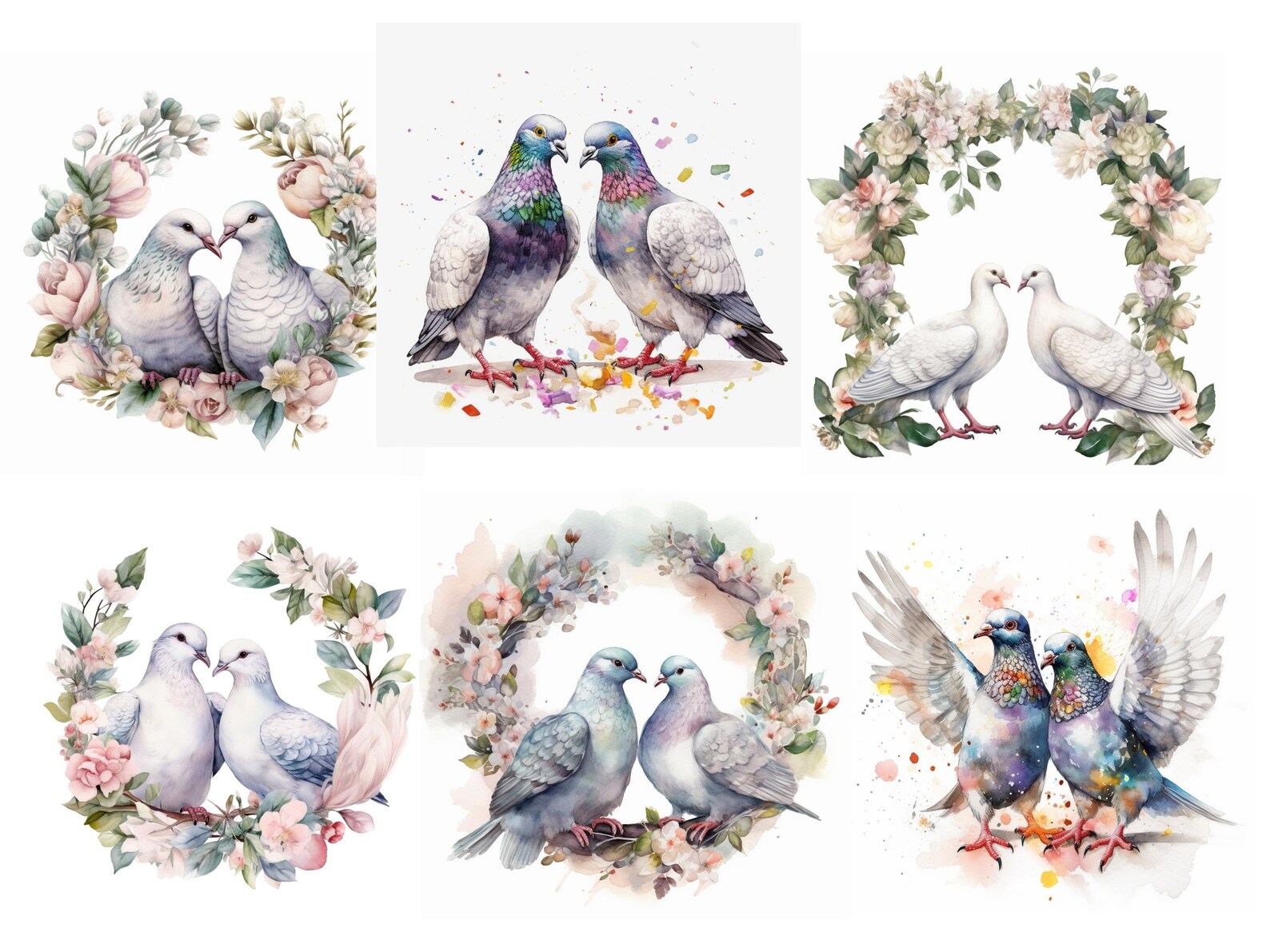 Wedding Pigeon Watercolor Clipart Bundle Free Commercial - Etsy