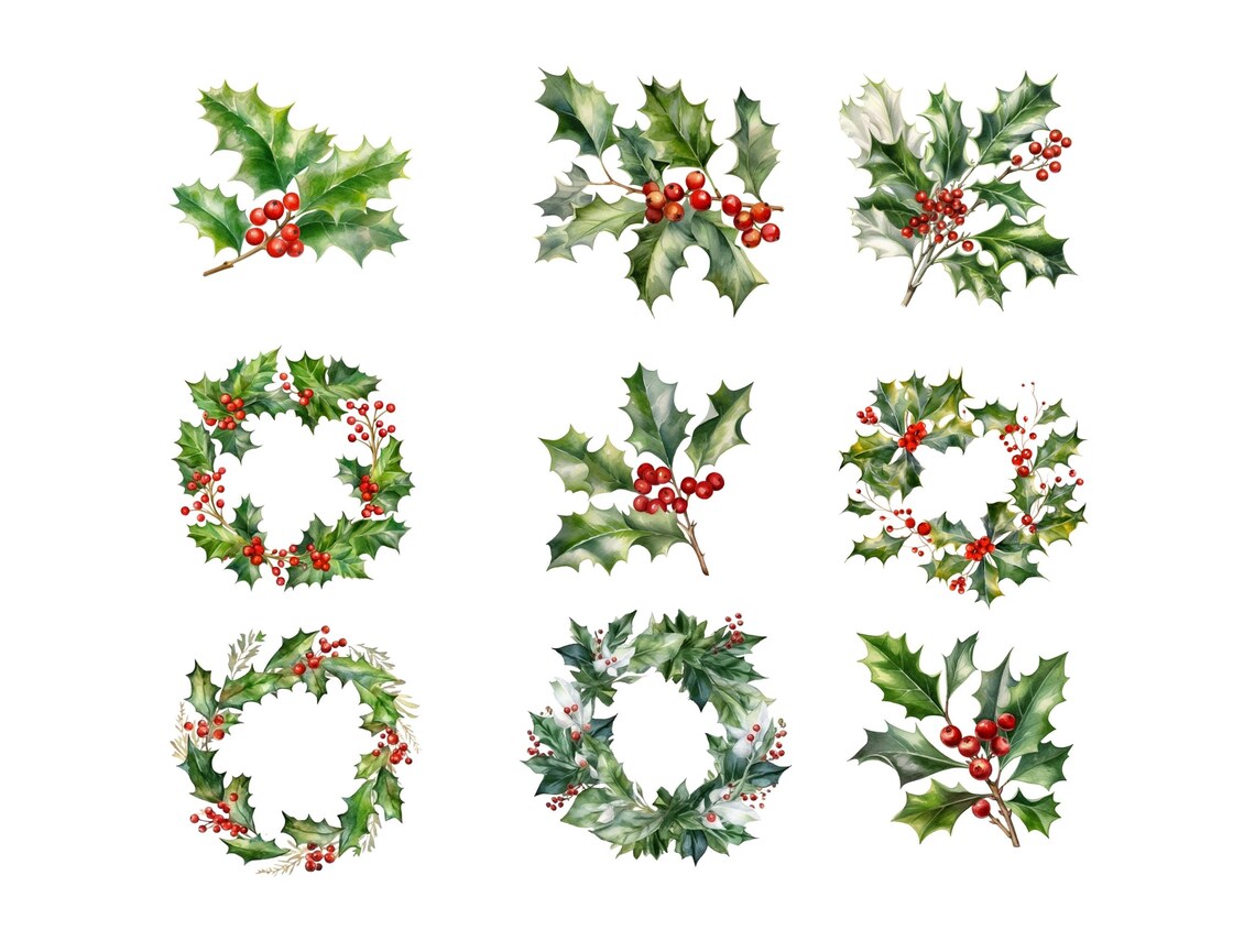 Holly Plant Watercolor Clipart Bundle Holly Berry Free - Etsy