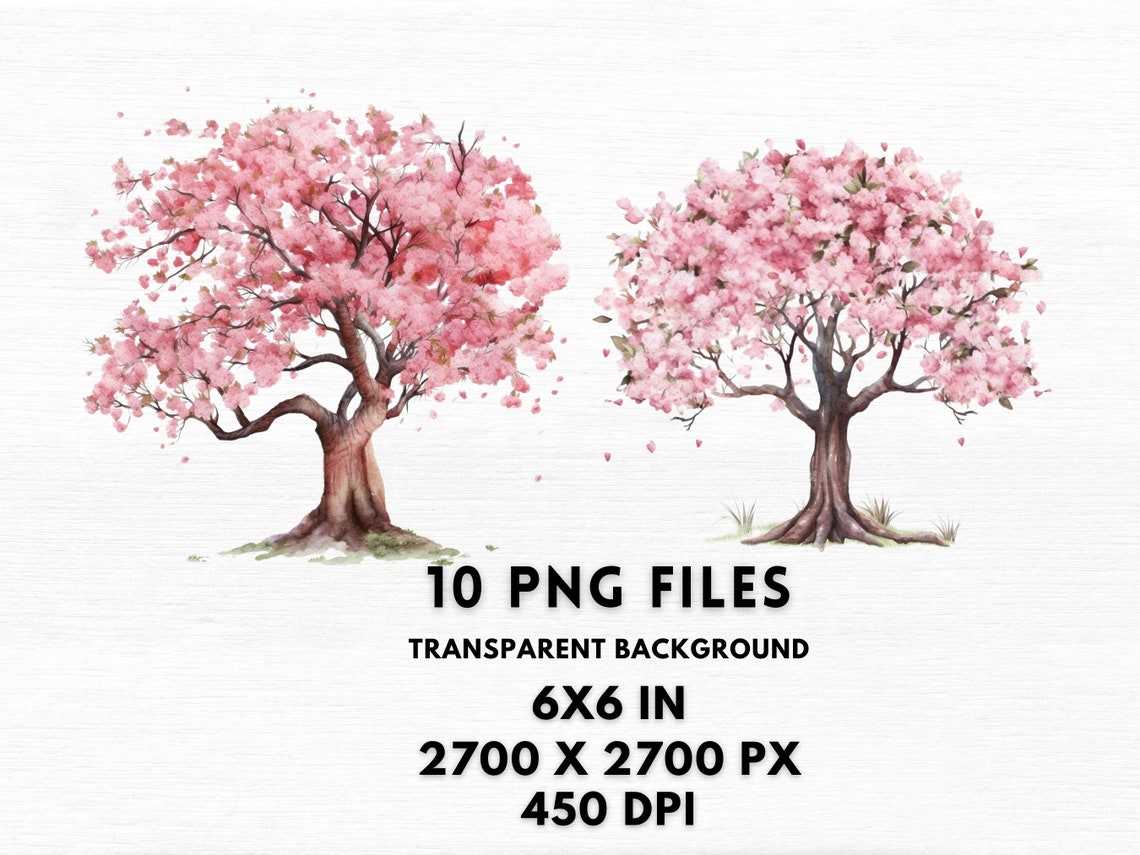 Cherry Blossom Watercolor Clipart Bundle Free Commercial - Etsy