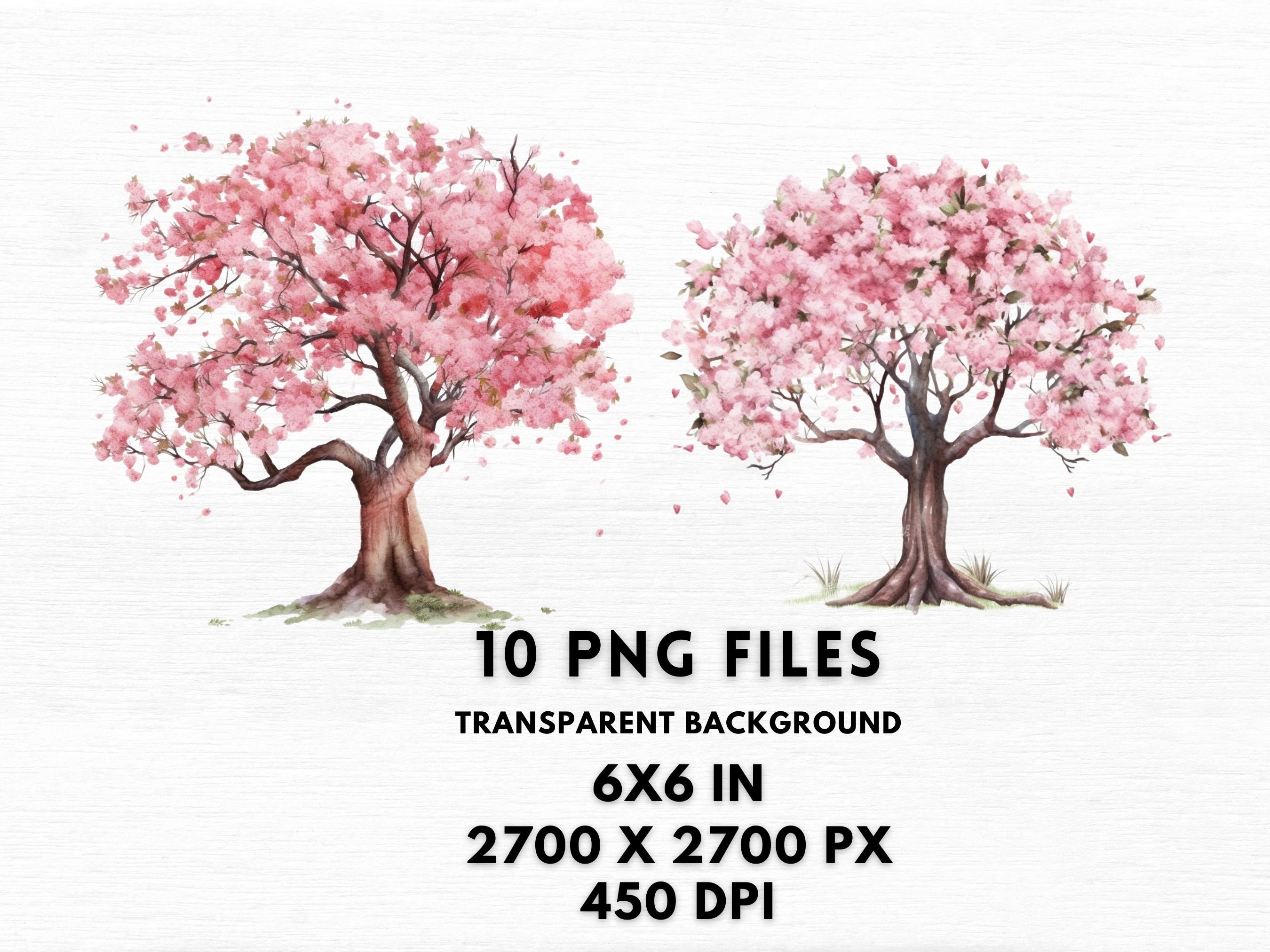 Cherry Blossom Watercolor Clipart Bundle Free Commercial - Etsy