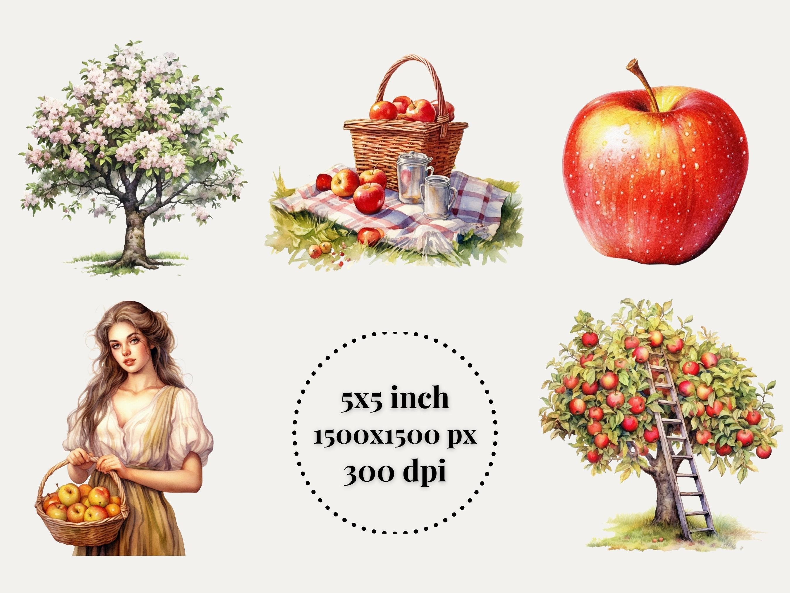 Apple Orchard Watercolor Clipart Bundle Apple Garden Free - Etsy