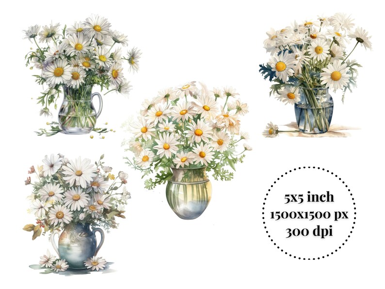 Vase of Daisy Watercolor Clipart Bundle Floral Free Commercial - Etsy