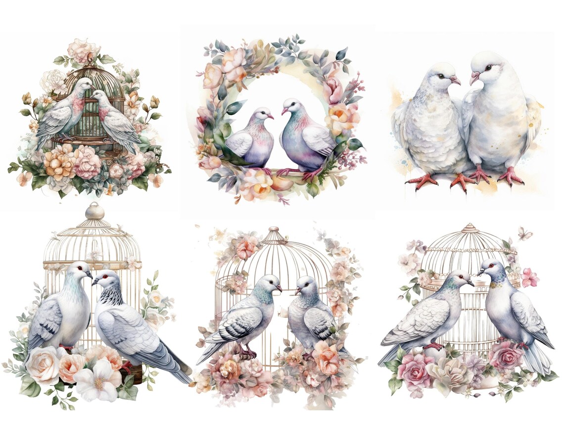 Wedding Pigeon Watercolor Clipart Bundle Free Commercial - Etsy