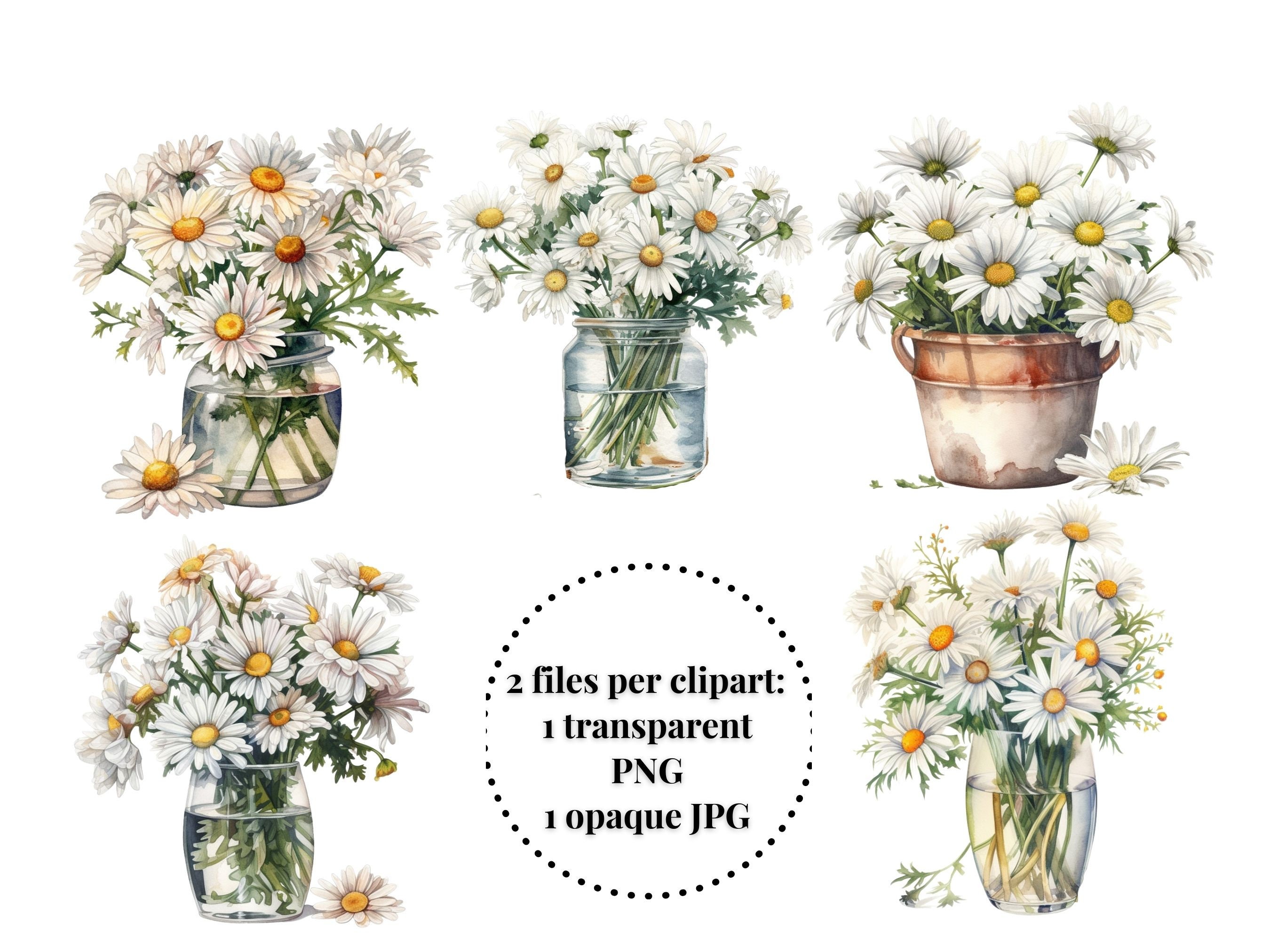 Vase of Daisy Watercolor Clipart Bundle Floral Free Commercial - Etsy