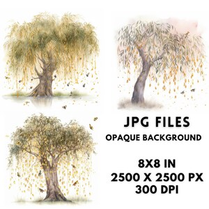 Glowing Willow Tree Watercolor Clipart Bundle Free Commercial Radiant ...