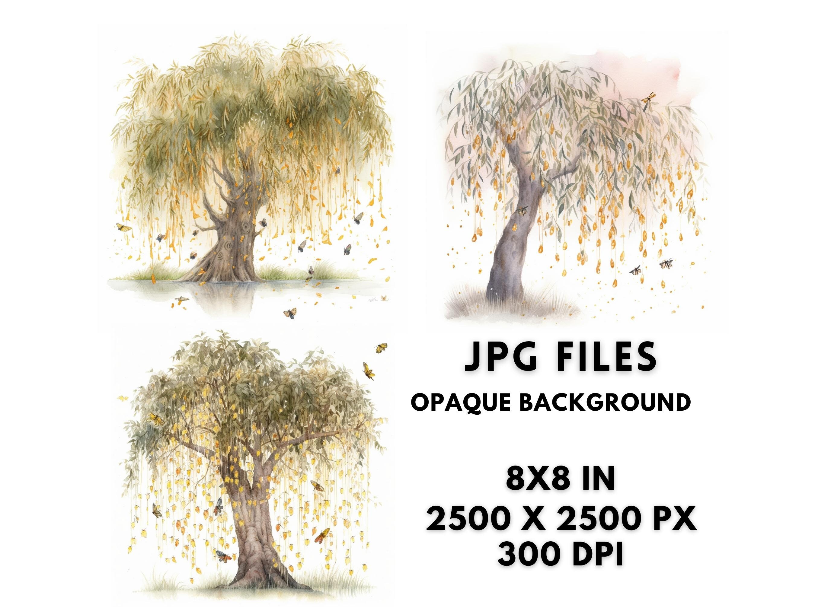 Glowing Willow Tree Watercolor Clipart Bundle Free Commercial Radiant ...