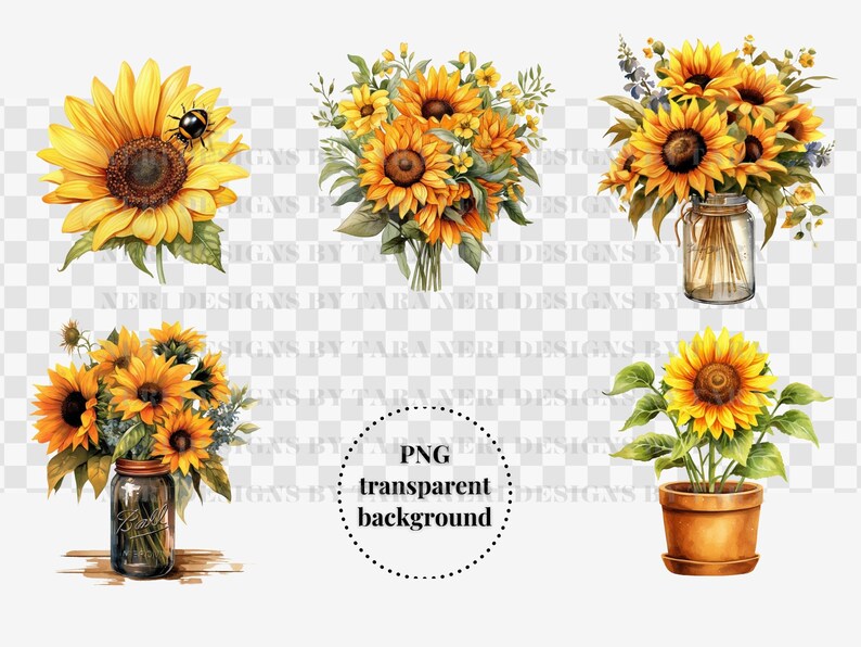 Sunflower Watercolor Clipart Bundle Potted Sunflower Free - Etsy
