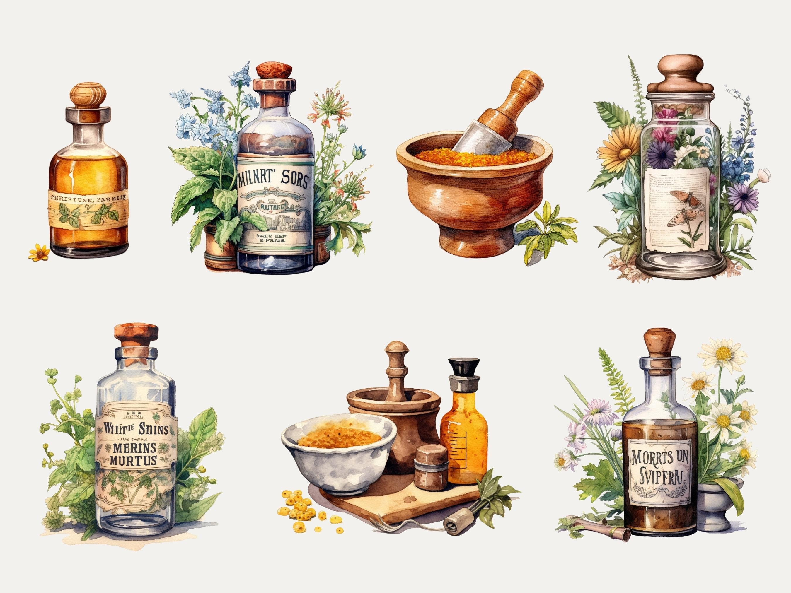 Vintage Medicine Bottles Watercolor Clipart Bundle Vintage - Etsy