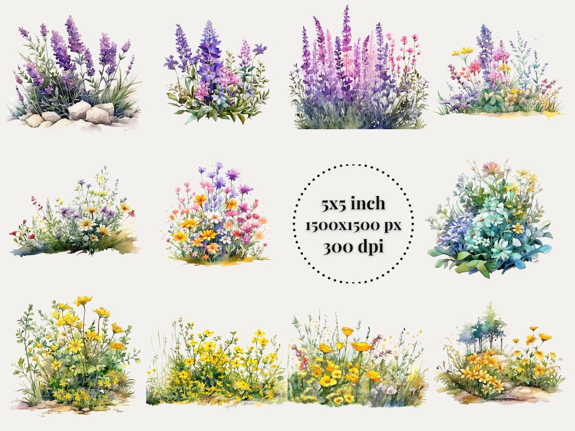 Wildflower Bush Watercolor Clipart Bundle Floral Free - Etsy