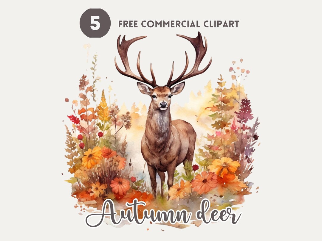 Autumn Deer Watercolor Clipart Bundle, Fall Season Stag Free Commercial ...